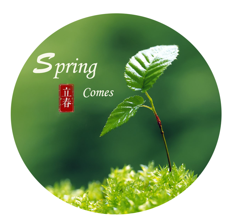 What is the beginning of spring in China - Ningbo Yinzhou FUCHUN ...
